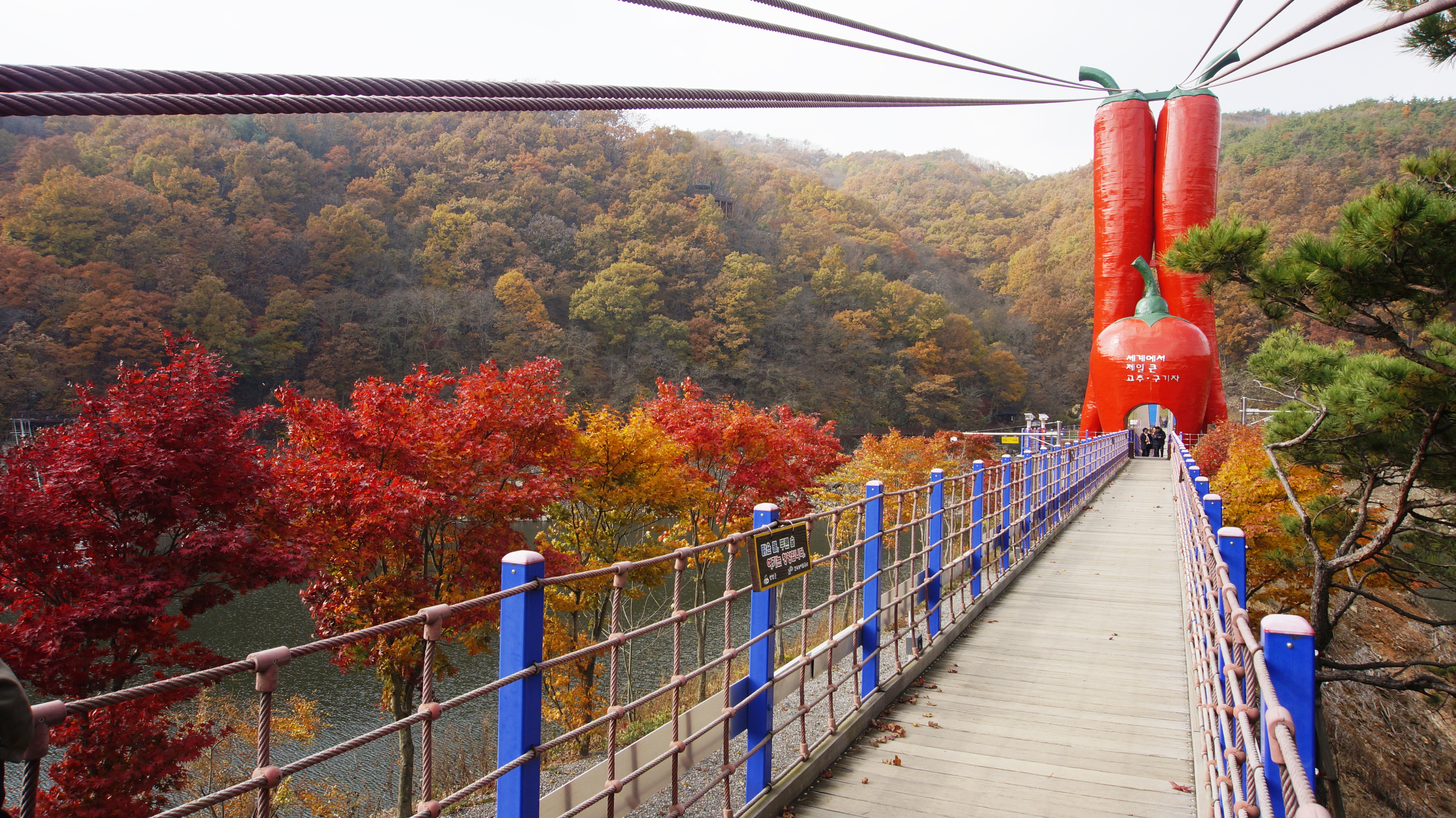 Explore Rural Korea: Cheongyang Alps Village – Jen's Wanderstories